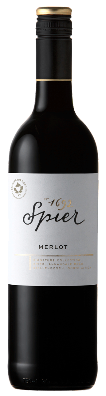 Spier Signature Collection Merlot 2021 online kaufen | Honest & Rare