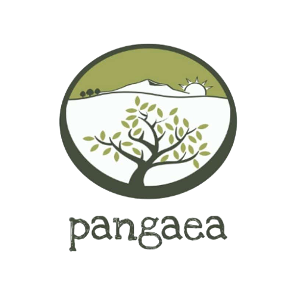 Pangaea Chalkidiki Oliven kaufen | Honest & Rare